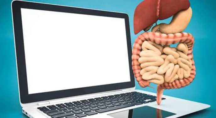 What You Need to Know About Your Digestive System: A Comprehensive ...