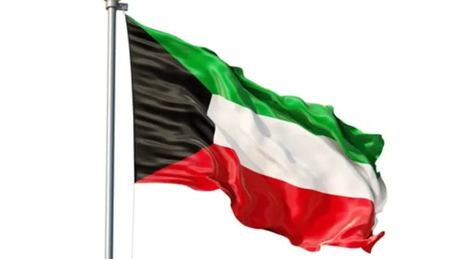 Kuwait's Health Landscape: Understanding Common Illnesses and ...